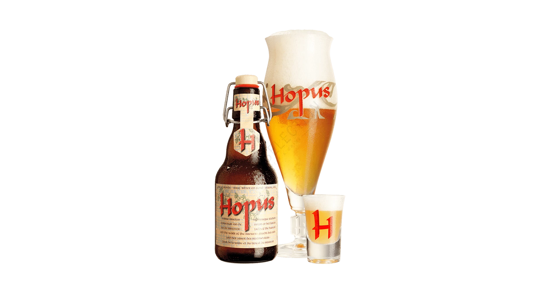 Hopus 0,33L - Belga Típusú Ale - Beerselection - Több 100 féle sör egy ...